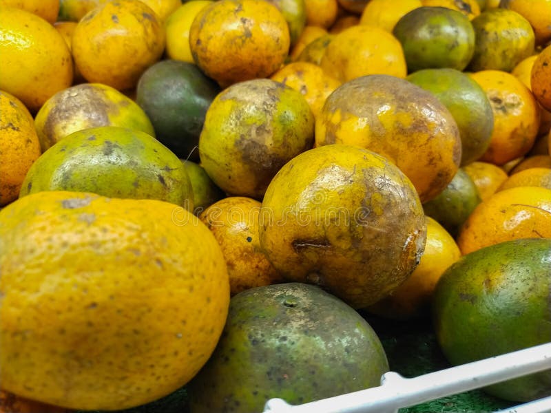 Collection of Local Orange in the Market Showcase Stock Image - Image ...