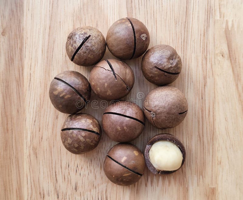 Collection of Macadamia Nuts Arranged on a Wooden Surface. One of the ...