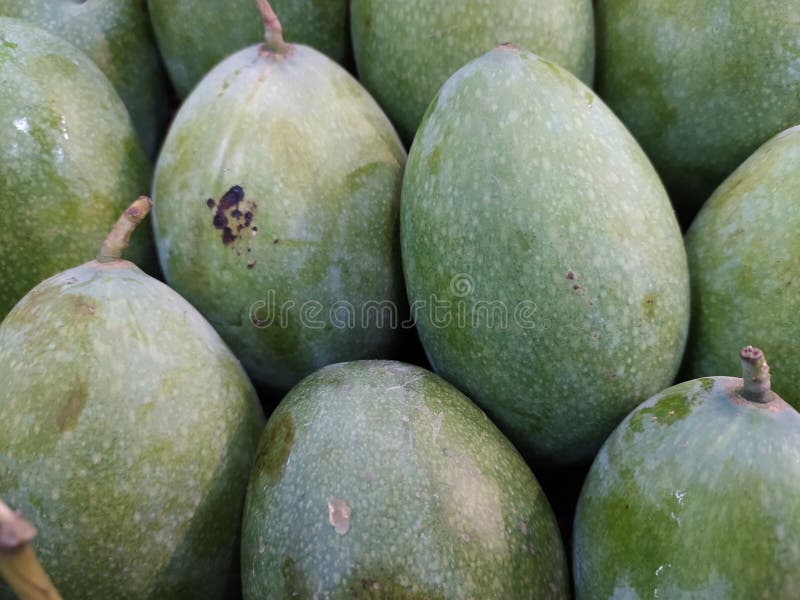 A Collection of Manga Fruit is Seen Closely Stock Image - Image of ...