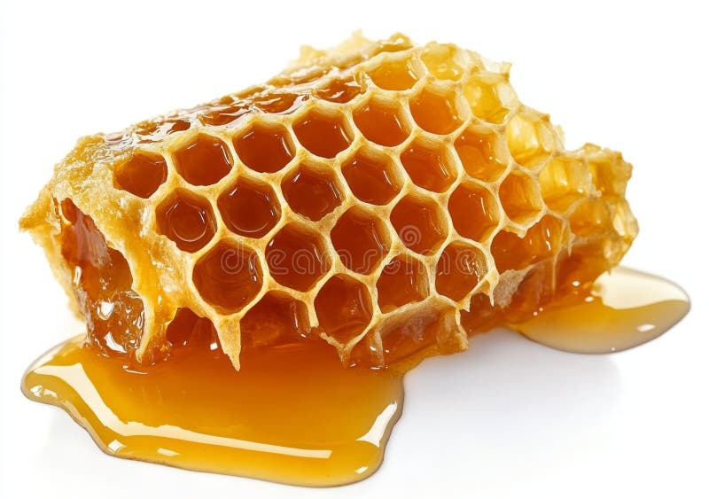 A Collection of Maple Syrup, Melted Honey, and Seasoning for a Drip ...