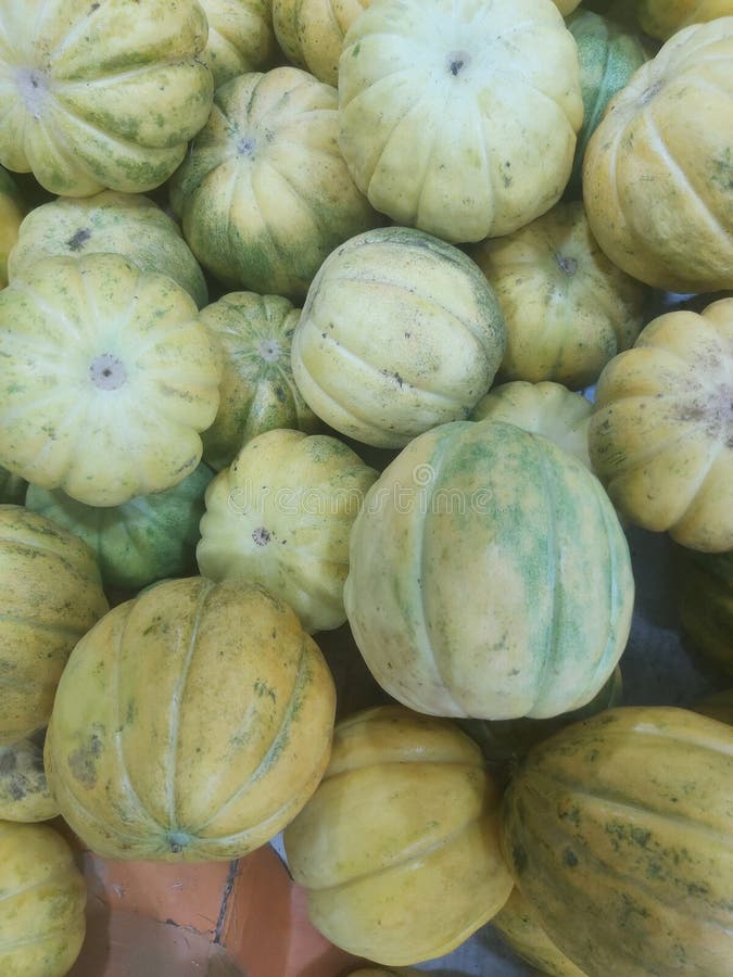 Collection of Melons in the Photo from Above Stock Photo - Image of ...