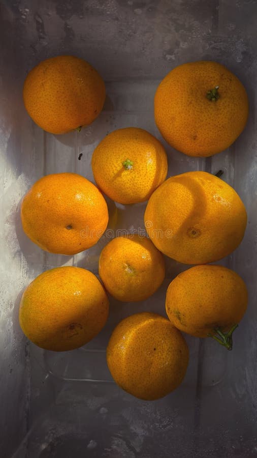 A Collection of Mini Oranges that Look Refreshing. Stock Photo - Image ...