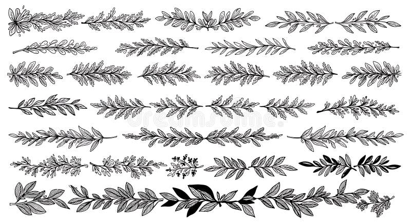 A Collection of Monochrome Botanical Borders Featuring Various Leaf and ...