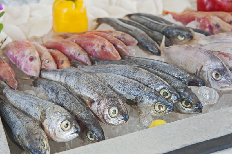 Seafood Display at a Hotel Buffet Stock Photo - Image of luxury ...