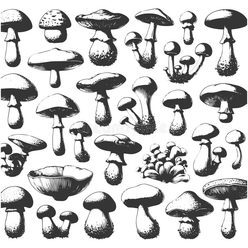 Collection of Mushroom Vector Design Illustration Stock Vector ...