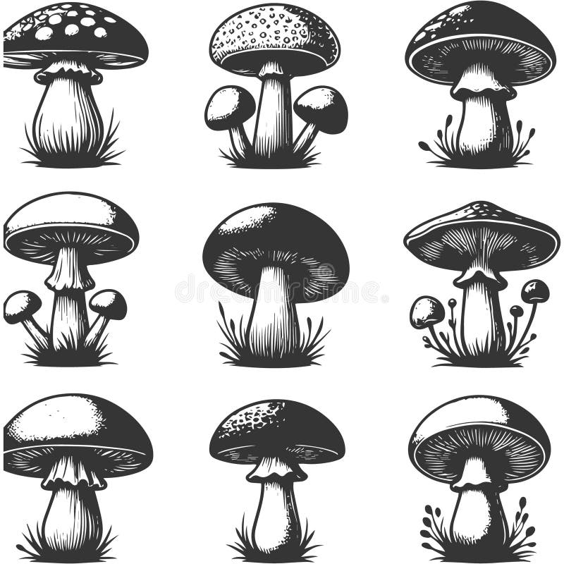 Collection of Mushroom Vector Design Illustration Stock Vector ...