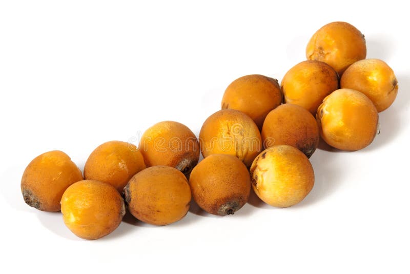 Collection of Natural Ripe Orange Palm Dates Stock Image - Image of ...