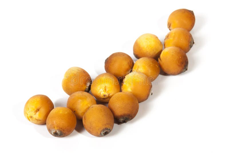 Collection of Natural Ripe Orange Palm Dates on White Stock Image ...
