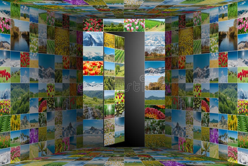 The Collection of Nature Photos in Collage Concept Stock Illustration ...