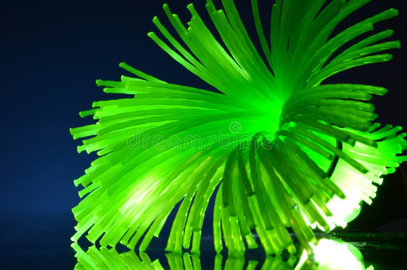 Illuminated Strands of Neon String Stock Image - Image of flamboyant ...