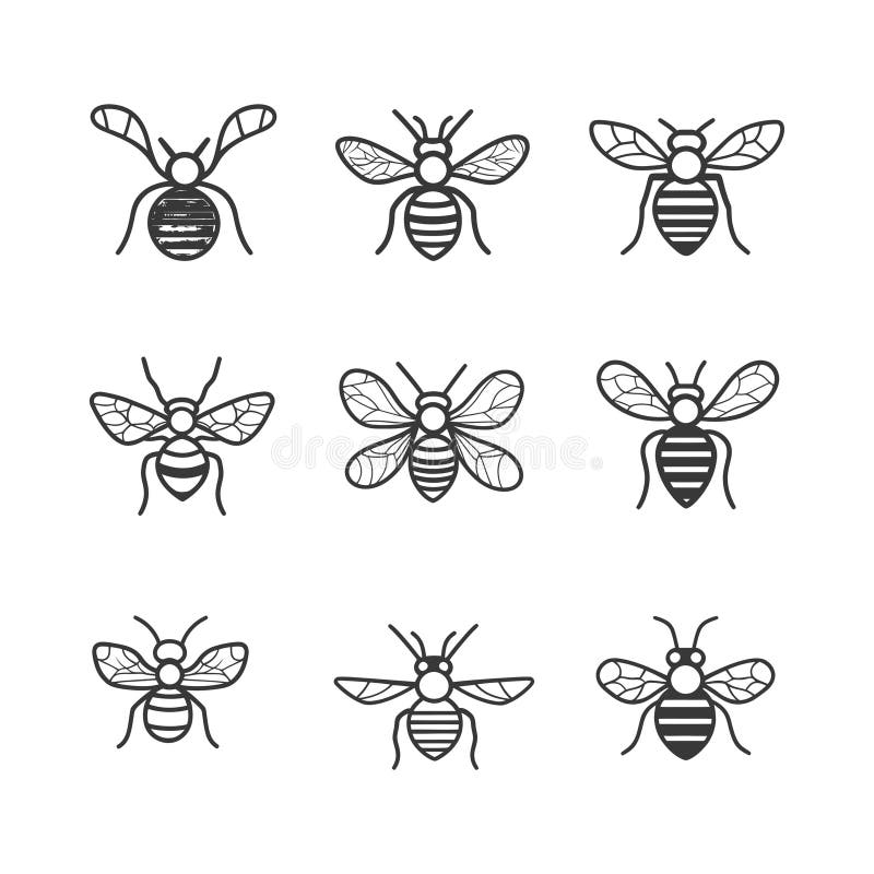 Collection of Nine Different Bee Line Art Illustrations Stock Vector ...