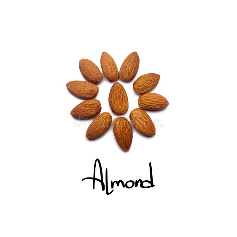 Peeled Almonds and in Half, Leaves and Walnut Lying Side by Side Stock ...