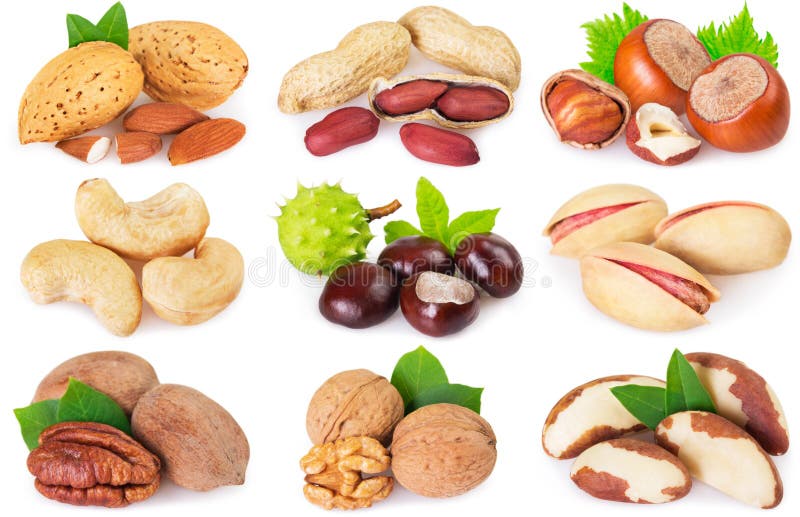 Collection of Nuts on White Background Stock Image - Image of goober ...