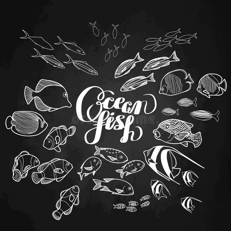 Graphic coral collection stock vector. Illustration of book - 64376895