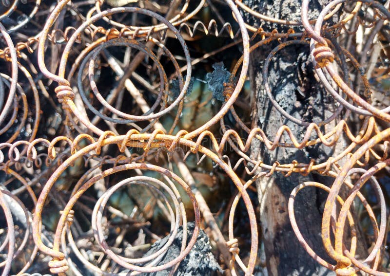 A Collection of Old and Rusty Spring Metal Stock Photo - Image of ...