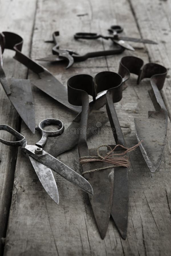 Collection of old scissors stock image. Image of rough - 16433707