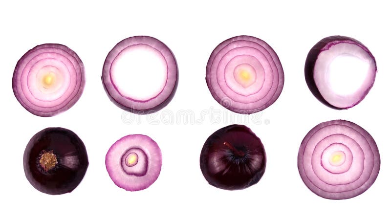 Collection of Onion Slices Isolated on White Background. Top View Stock ...