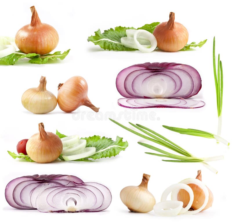 Onions. Lacrimators Onions. Chemical Formula Stock Image - Image of ...