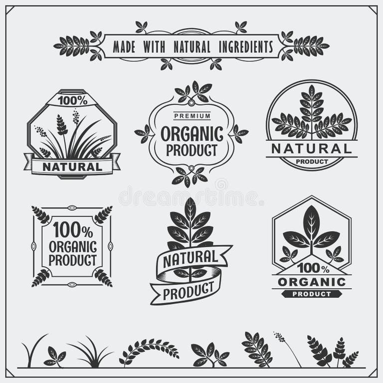 Collection of Organic Food Labels and Design Elements. Stock Vector ...
