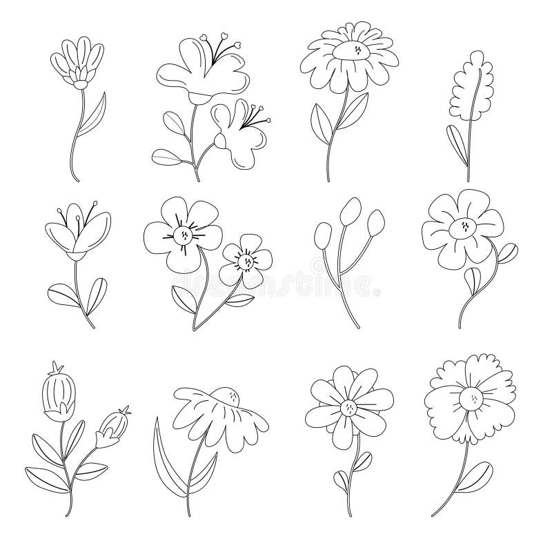 Collection of Outline of Spring, Summer Flowers. Vector Stock Vector ...