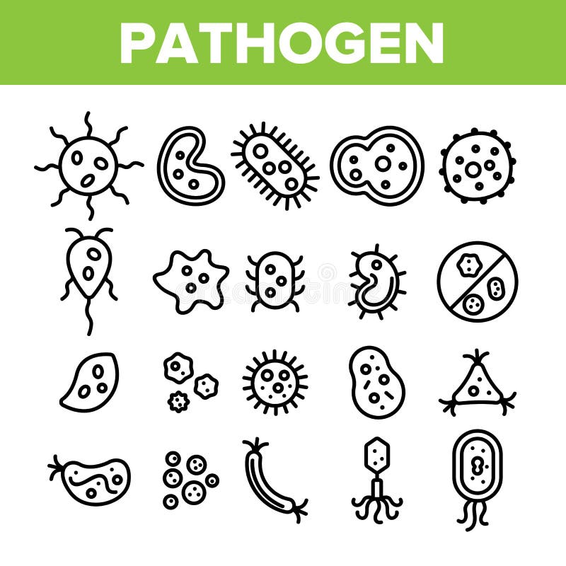 Collection Pathogen Elements Vector Sign Icons Set Stock Vector ...