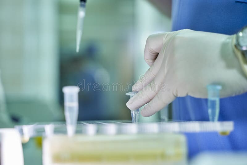 Collection of Patient Tests in the Laboratory Stock Photo - Image of ...