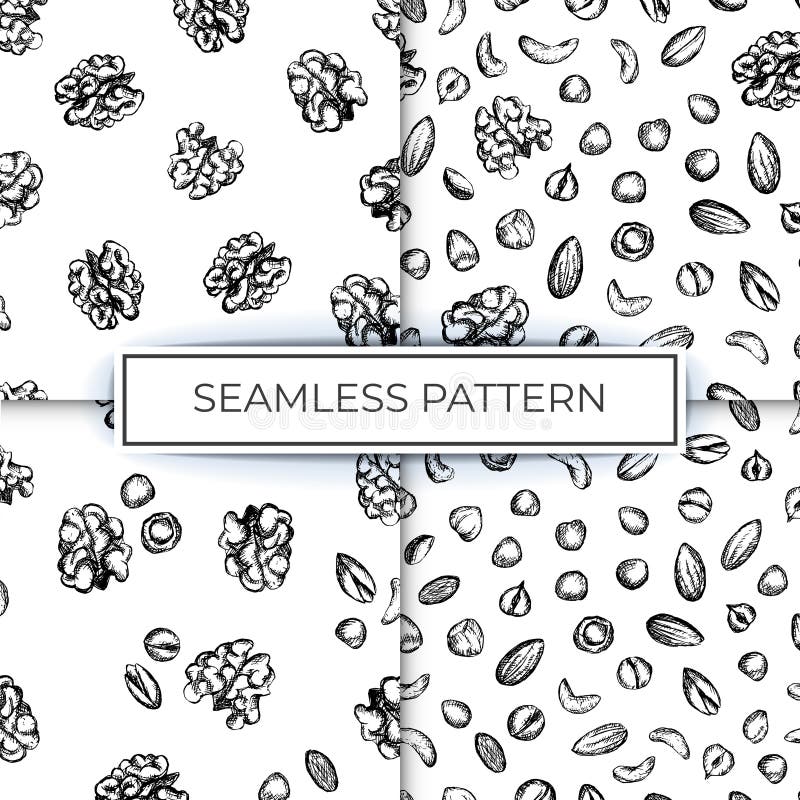 Nuts Set Sketch Style Food Illustrations. Hand Drawn Beautiful Pictures ...