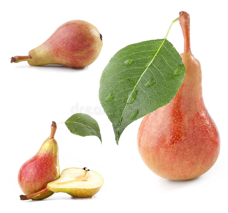 Collection of pears stock photo. Image of pear, pears - 23985628