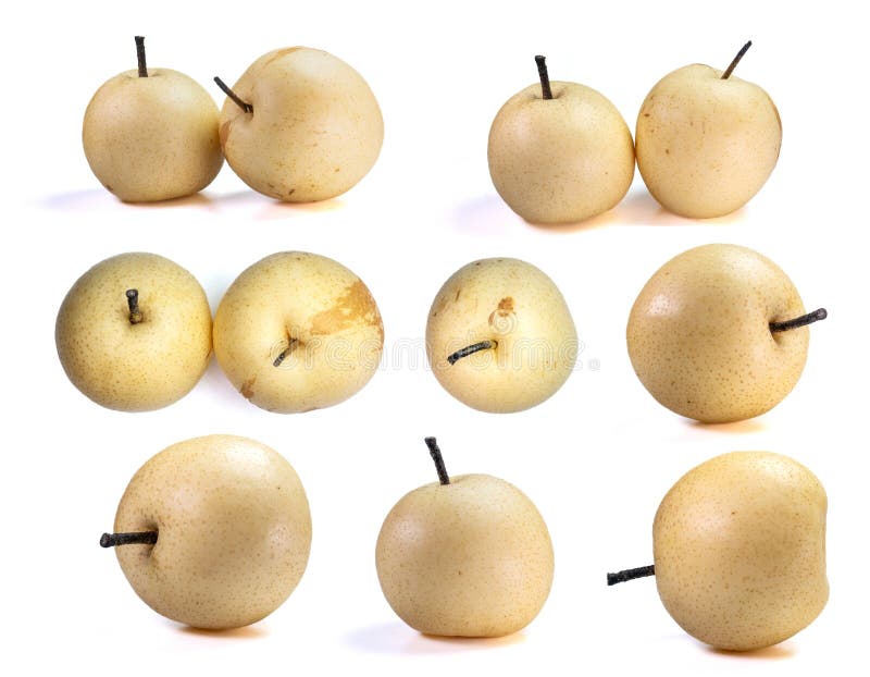 Collection of Pears with Various Compositions Stock Image - Image of ...