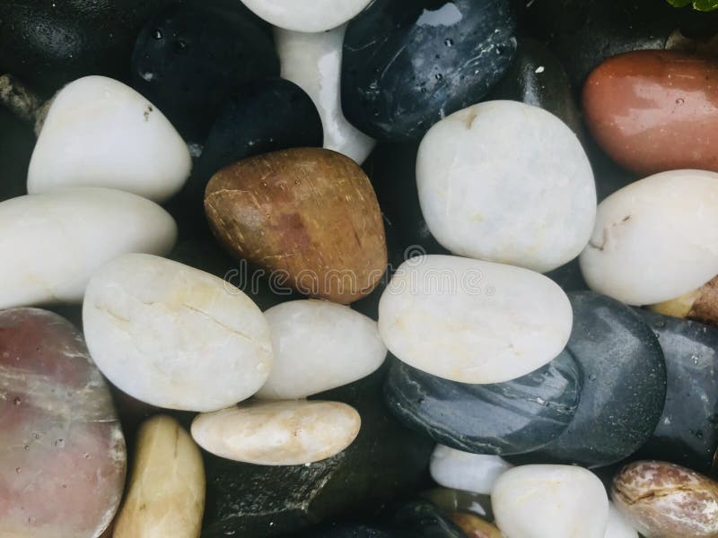 Assorted Rocks of Different Sizes and Colors Embedded in Concrete on an ...