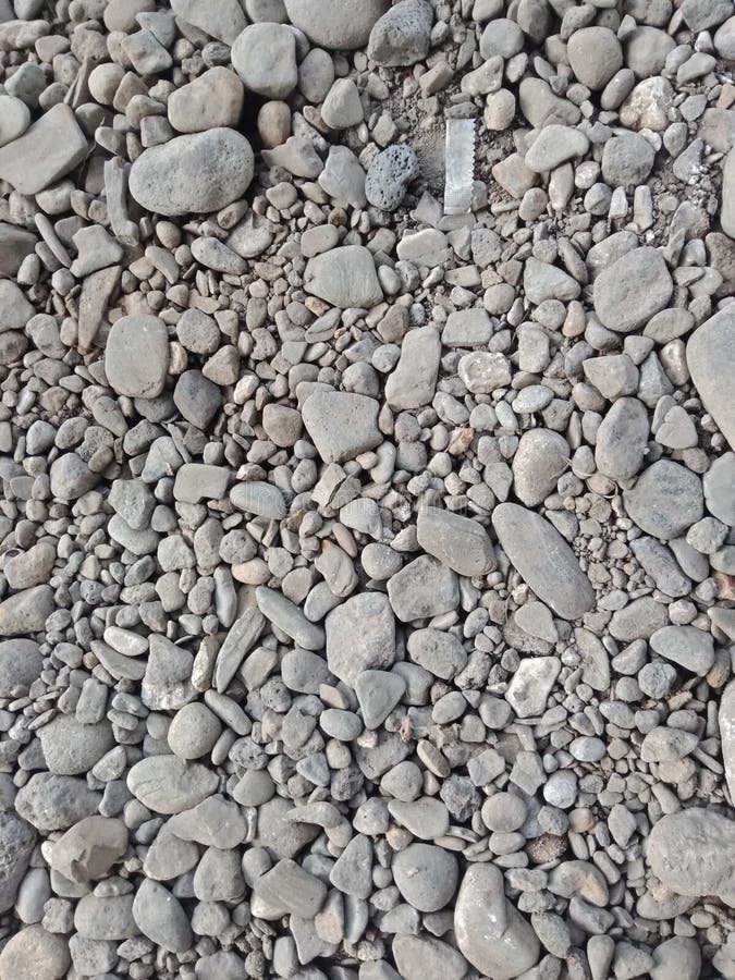 A Collection of Pebbles in the Parking Lot and Photographed during the ...