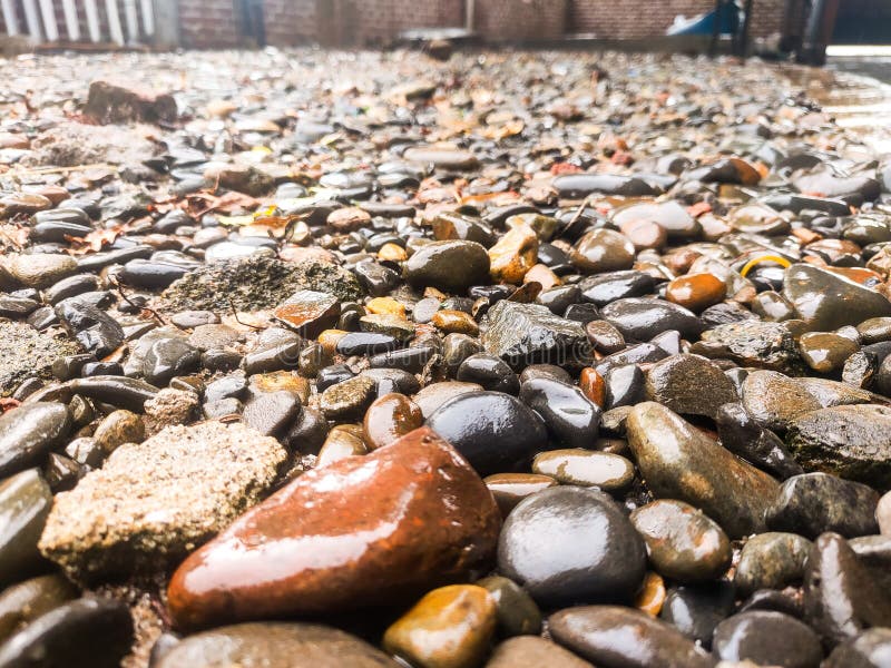 A Collection of Pebbles Wet from Rain Outdoor Stock Photo - Image of ...