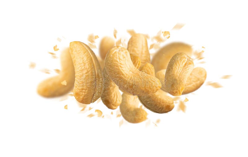 Crunchy Pecan Stock Illustrations – 242 Crunchy Pecan Stock ...