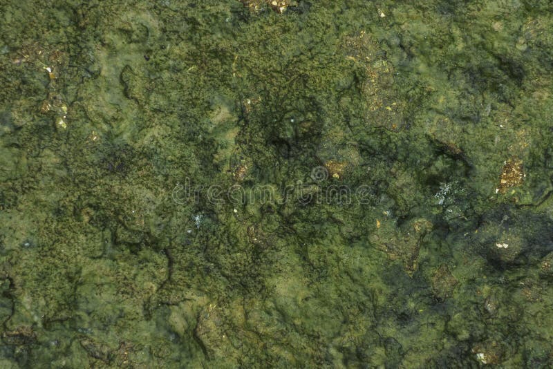 The Texture of Rocks Nature Wallpaper Stock Photo - Image of colorful ...