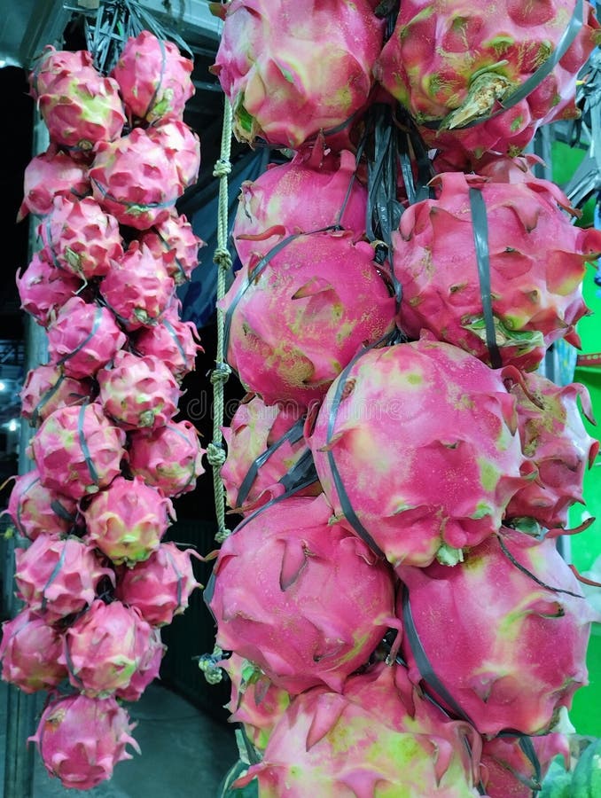 Collection and Pile of Dragon Fruit Stock Image - Image of seed ...