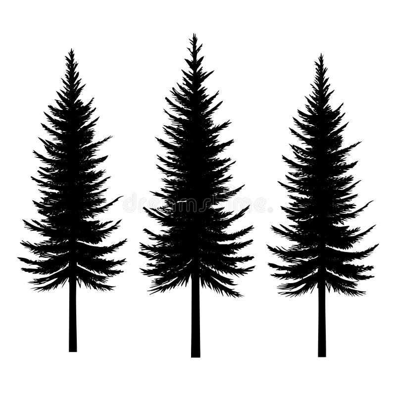 Collection of Pine Tree Silhouette Vectors Perfect for Nature, Outdoor ...
