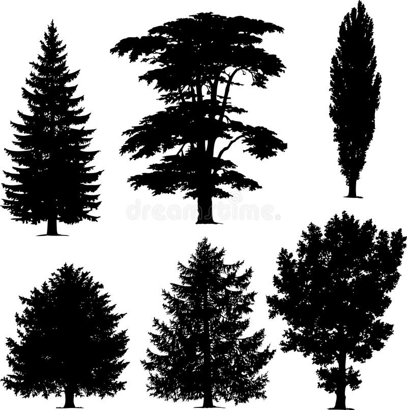 Collection of pine trees stock vector. Illustration of sequoia - 4857927