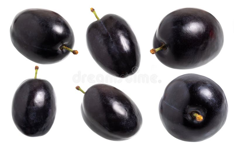 Collection Plums Isolated on White Background. Plum Half Macro Studio ...