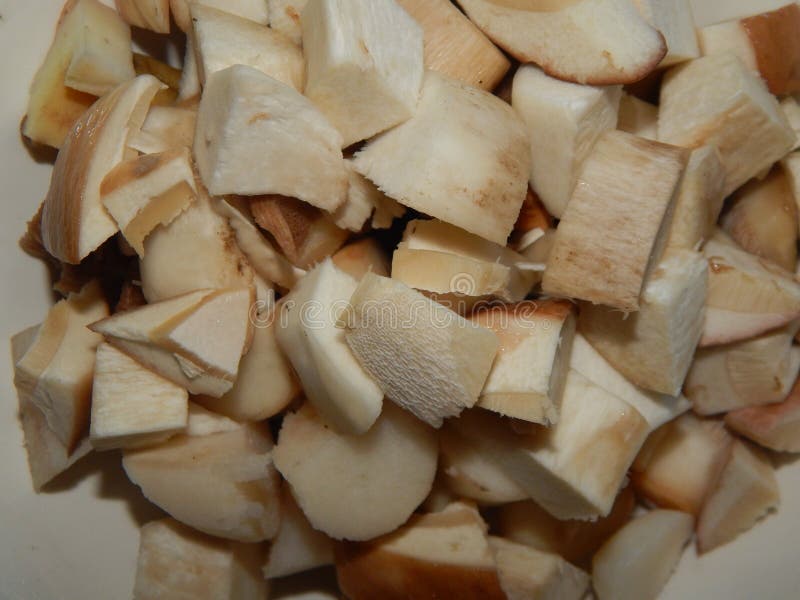 Collection and Preparation of Autumn Edible Stock Photo - Image of ...