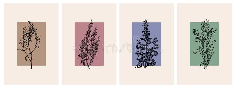 Collection of 4 Printable Botanical Illustrations. Interior Design ...