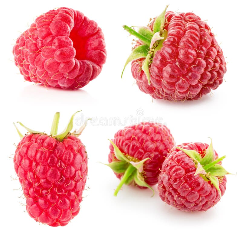 Collection of Raspberries Isolated on the White Background Stock Image ...