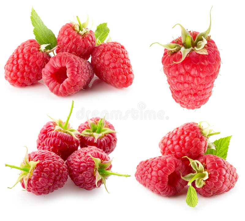Single Raspberry Isolated on the White Background Stock Photo - Image ...