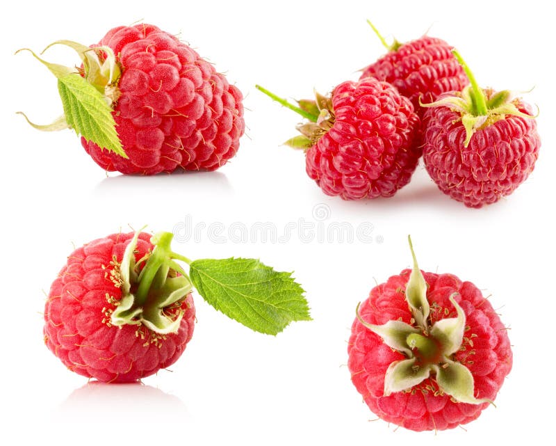 Single Raspberry Isolated on the White Background Stock Photo - Image ...