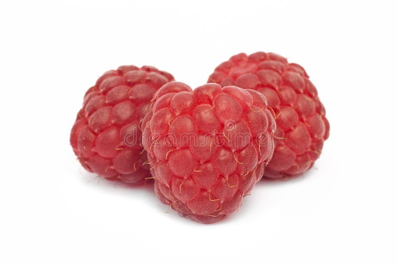Raspberry stock image. Image of detail, fresh, berry - 10038143