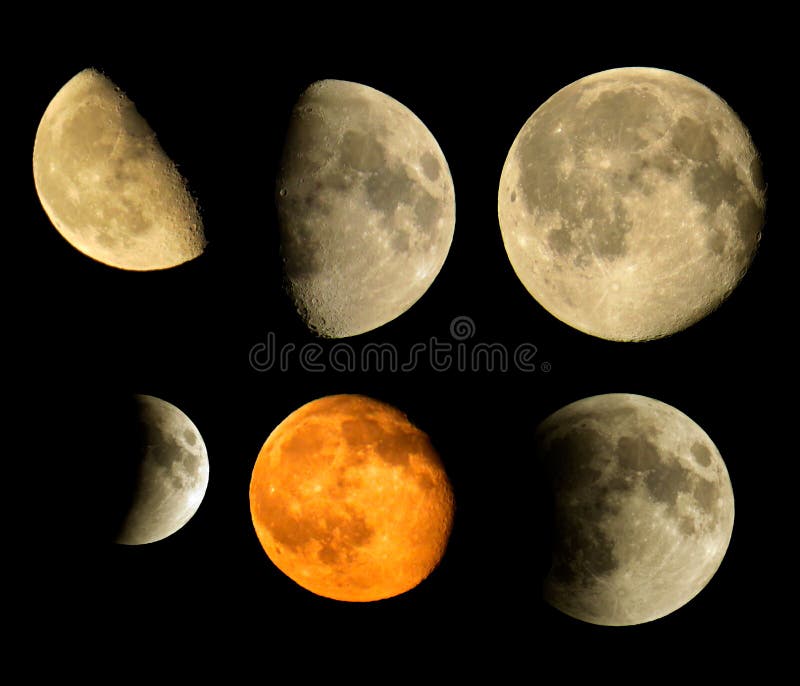 Real Moon Phases TheCarpCatcher ~ Moon Phases