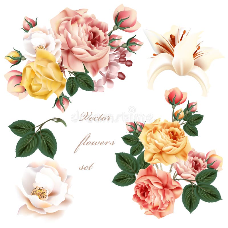 Collection of Realistic Flowers Stock Vector - Illustration of retro ...