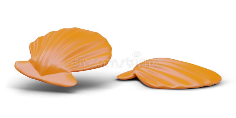 Collection with Realistic Orange Shells in Different Positions Stock ...