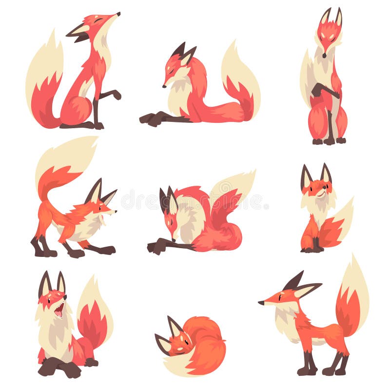 Collection of Red Foxes Characters Cartoon Vector Illustration Stock ...