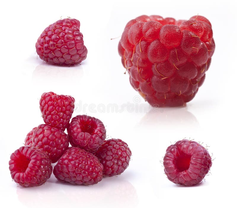 Collection of Raspberry Isolated on White Background Stock Photo ...