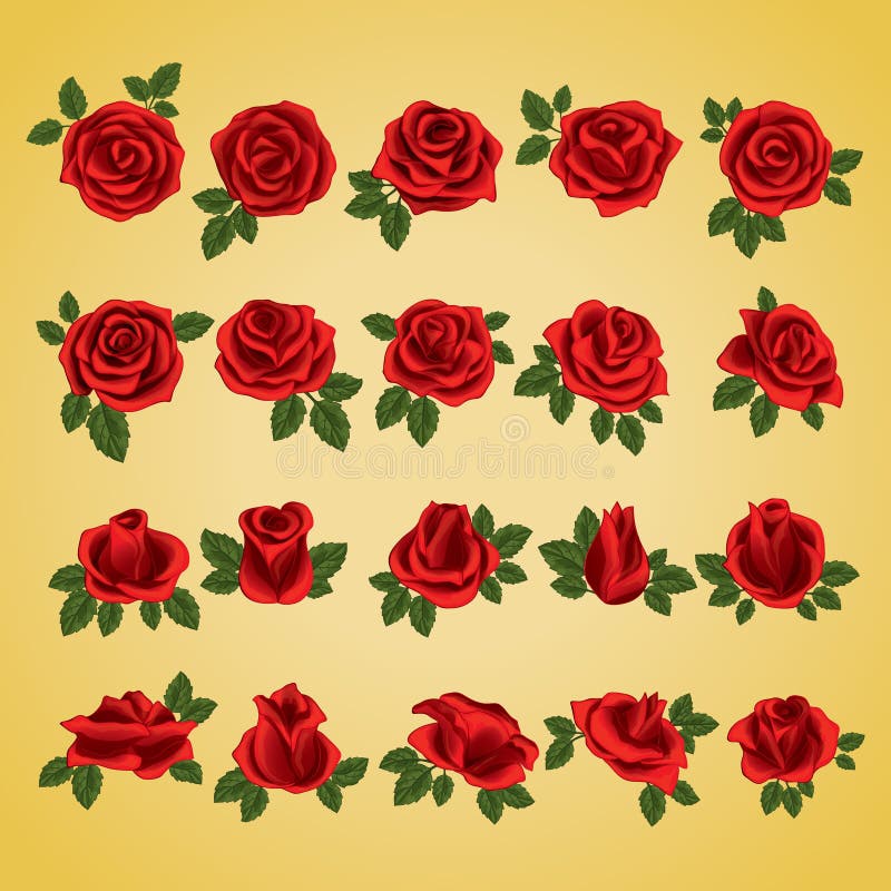 Collection of Red Roses. Vector Illustration Decorative Design Stock ...